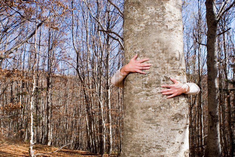 Woman taking a tree in her arms | Stock image | Colourbox