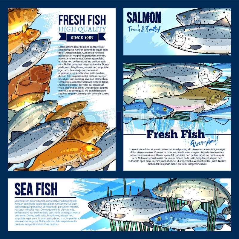 Fresh fish posters and banners set for ... | Stock vector | Colourbox