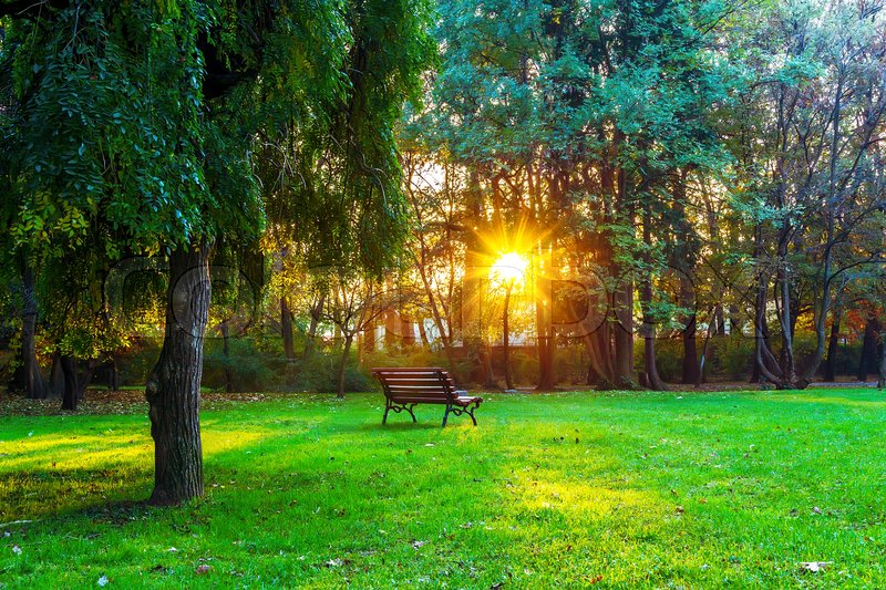 Sunset in park with bench | Stock image | Colourbox