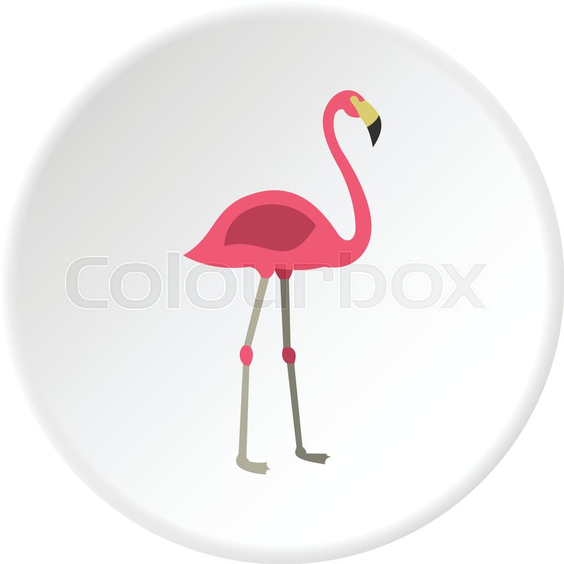 Pink flamingo icon in flat circle ... | Stock vector | Colourbox