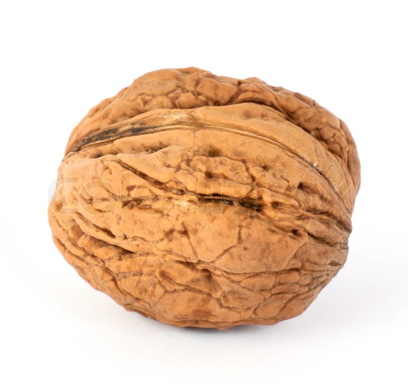 Walnut isolated on white background | Stock image | Colourbox