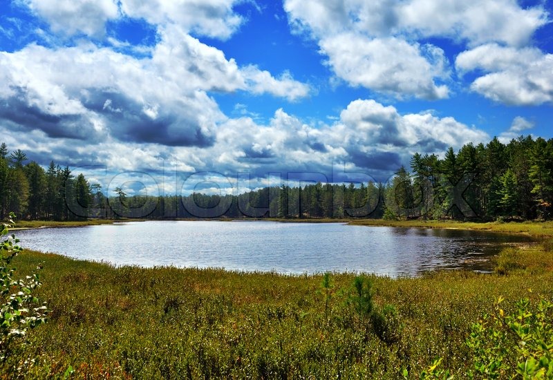 Small lake in the forest against a ... | Stock image | Colourbox
