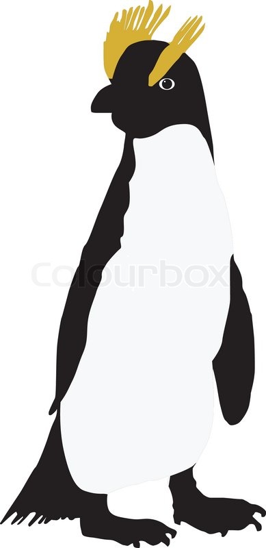 Vector Zeichnung von Pinguin | Stock-Vektor | Colourbox