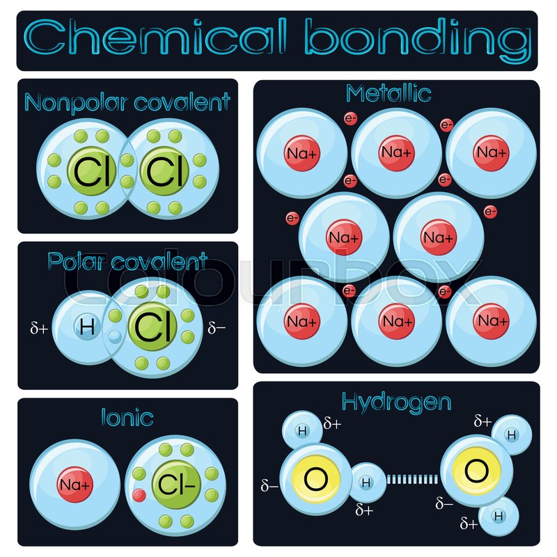 Types Of Bonding Chemical Bonds Quiz Quizizz Gambaran