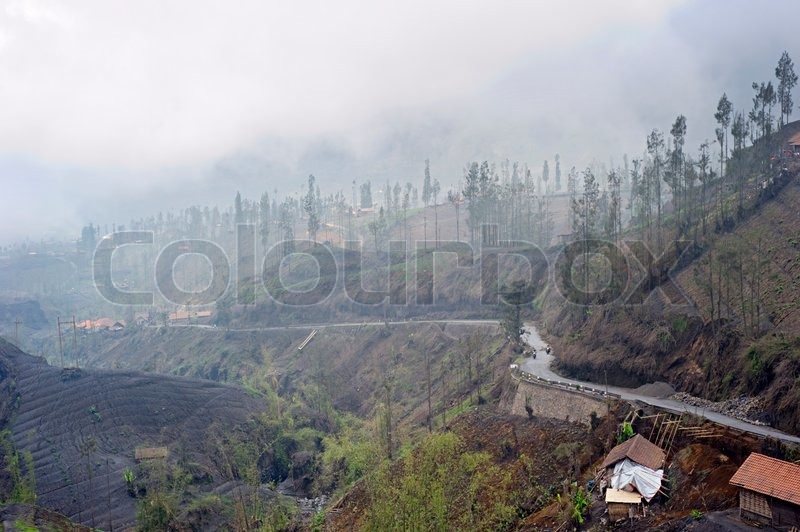 Landscape with Indonesian road between ... | Stock image | Colourbox