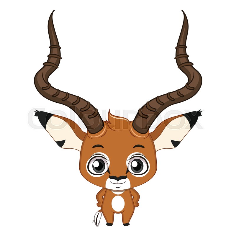 Impala Animal Drawing