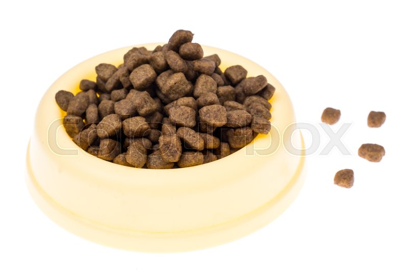 Animal food in special bowl on white ... | Stock image | Colourbox