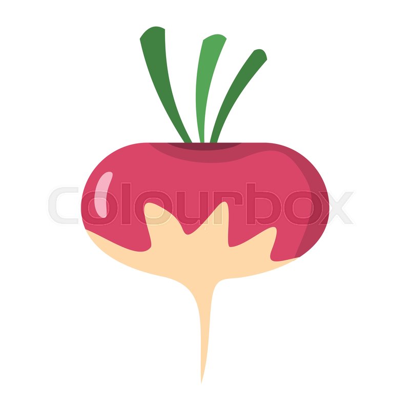 Radish icon in cartoon flat style ... | Stock vector | Colourbox