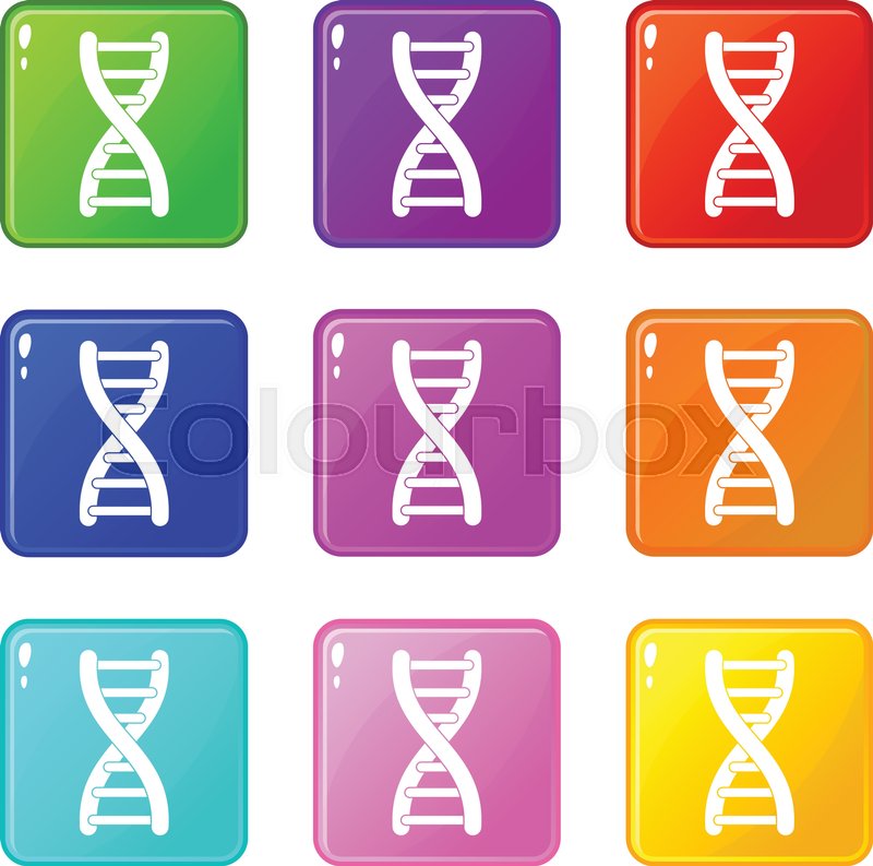 DNA strand icons of 9 color set ... | Stock vector | Colourbox
