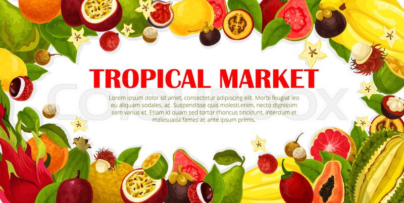 Exotic fruits poster for tropical farm ... | Stock vector | Colourbox