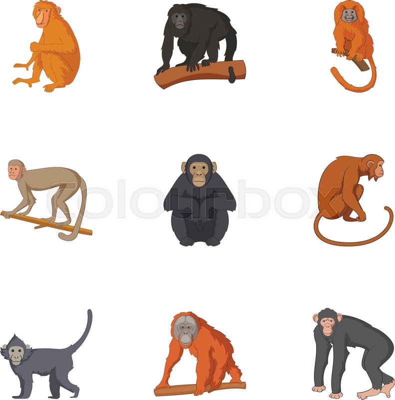 Species of chimpanzee icons set. ... | Stock vector | Colourbox