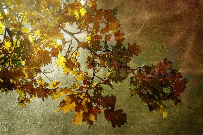Vintage picture of leaves in the ... | Stock Photo | Colourbox