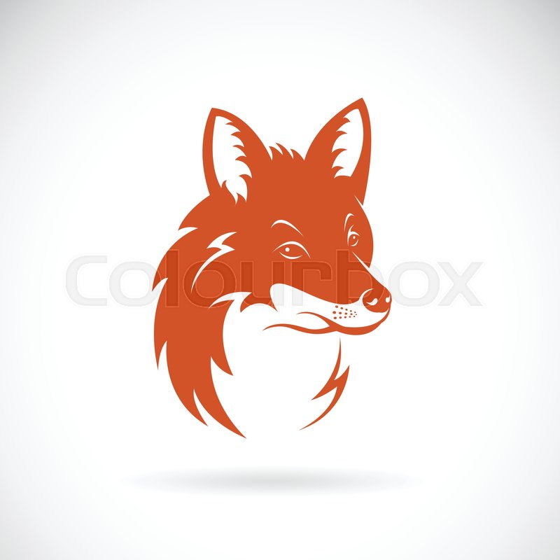 Vector of a fox head on white ... | Stock vector | Colourbox