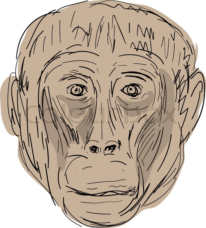 Monkey Head Outline