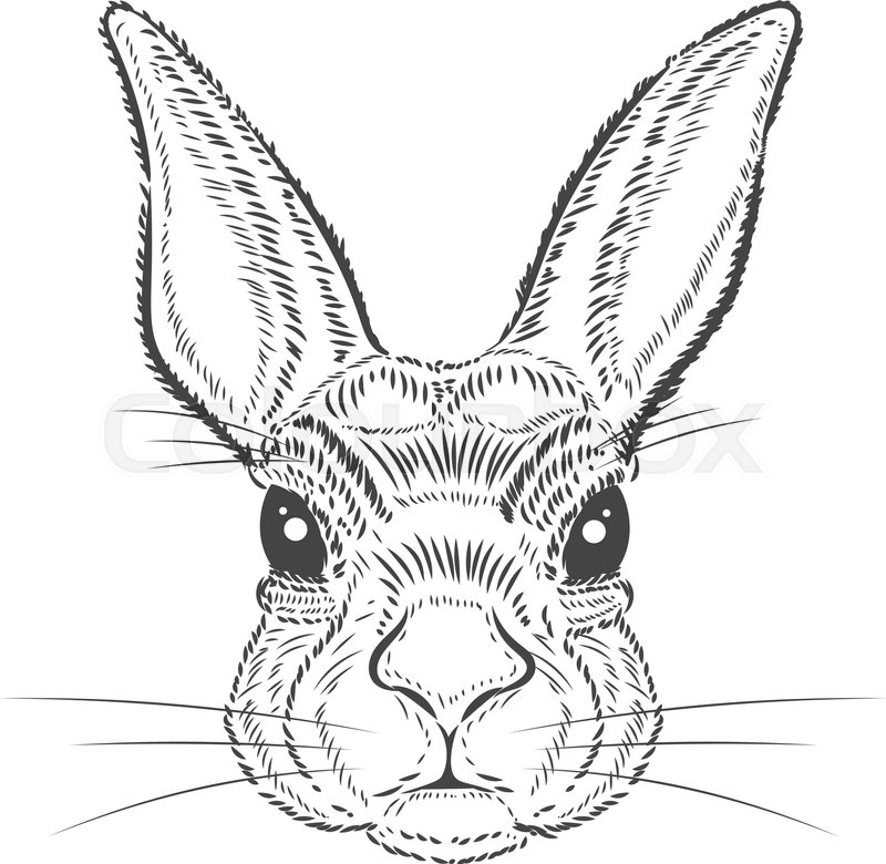 Vintage Bunny Vector