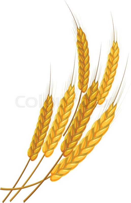 Bunch of wheat icon. Cartoon ... | Stock vector | Colourbox