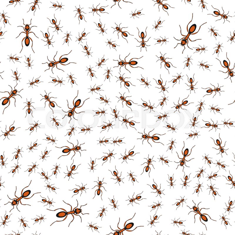 Seamless pattern of the red ant ... | Stock vector | Colourbox