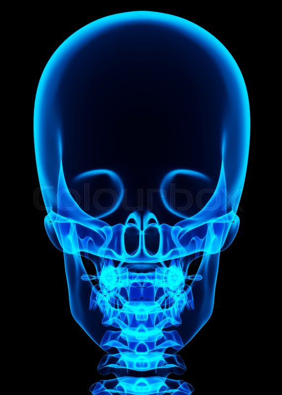 3D illustration of shiny blue skeleton ... | Stock image | Colourbox