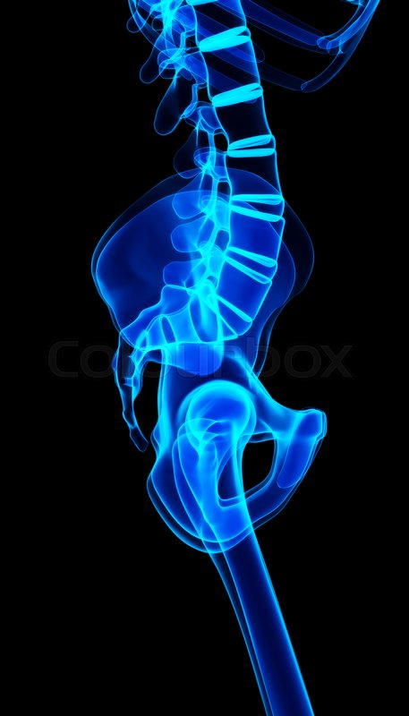 3D illustration of shiny blue skeleton ... | Stock image | Colourbox