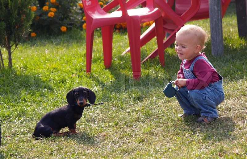 Kleine Mädchen spielen mit Dackel ... | Stock Bild | Colourbox
