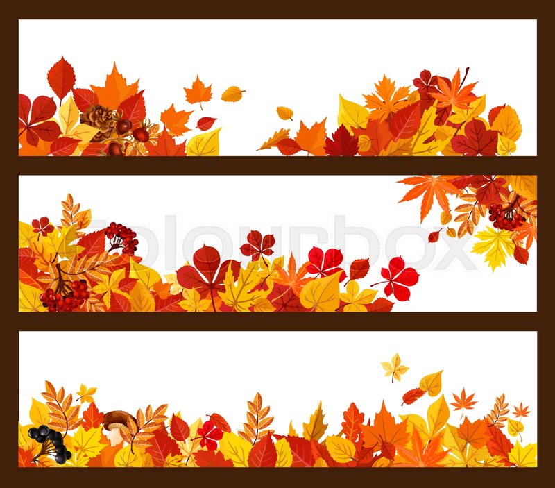Fall Leaves Banner Clip Art