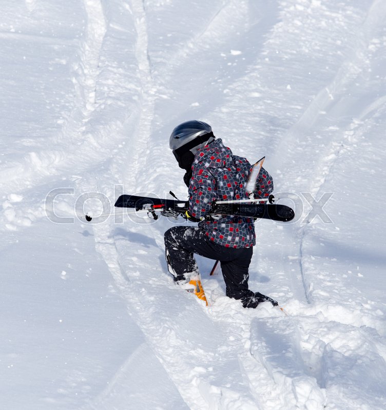 Skier skiing in the snow in winter | Stock Photo | Colourbox