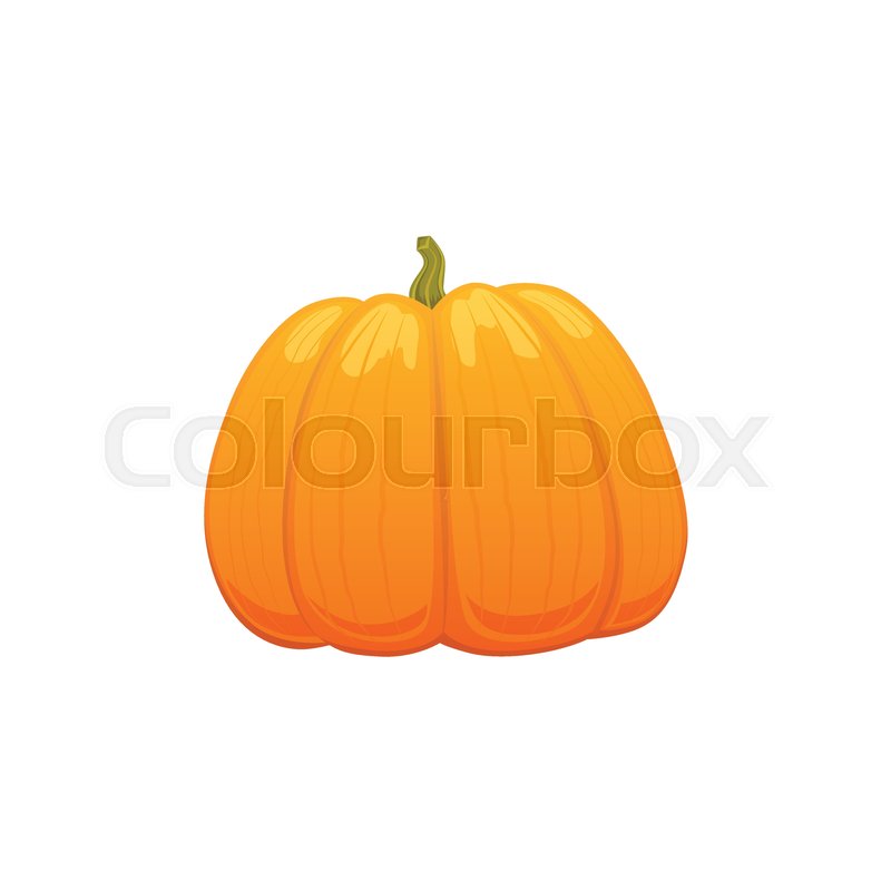 Vector big cartoon pumpkin. Isolated ... | Stock vector | Colourbox