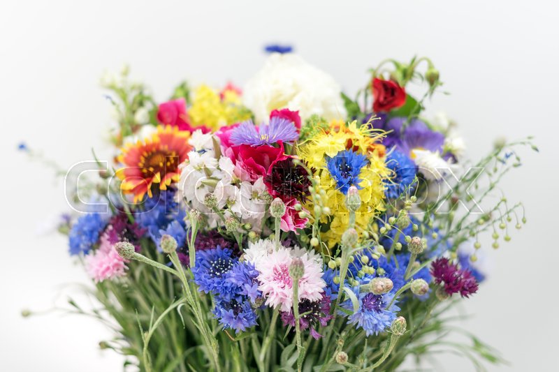 Bouquet of wildflowers. Bunch of wild ... | Stock image | Colourbox