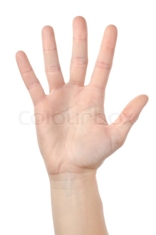 Human hand isolated on a white background | Stock Photo | Colourbox