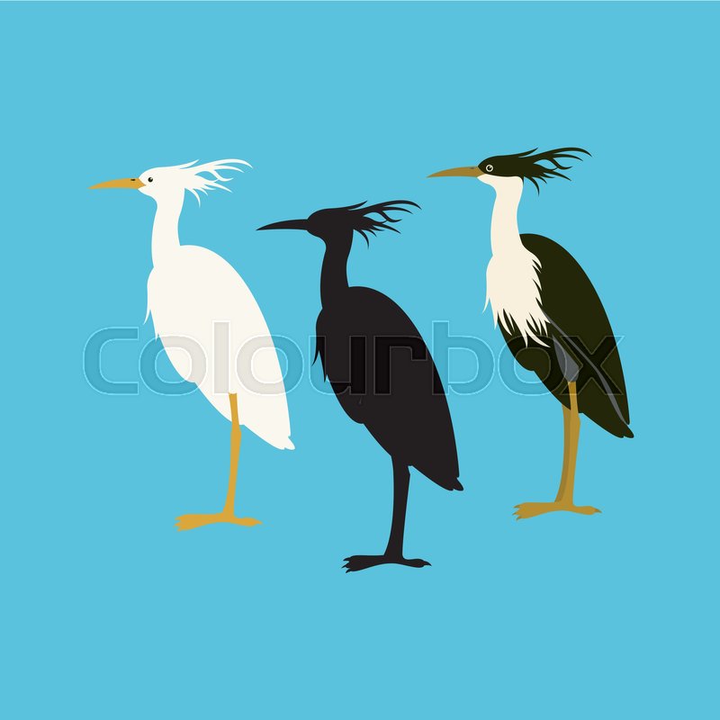 Heron vector illustration flat style ... | Stock vector | Colourbox