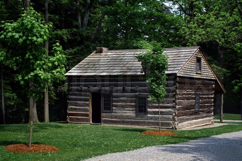 Rustic Log Cabin Tree House