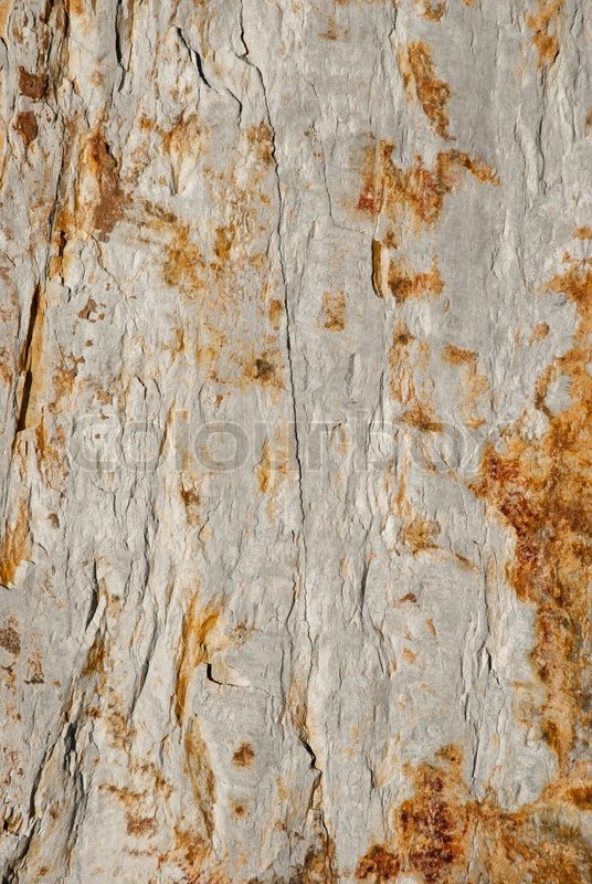 Background texture of earthy colored ... | Stock image | Colourbox