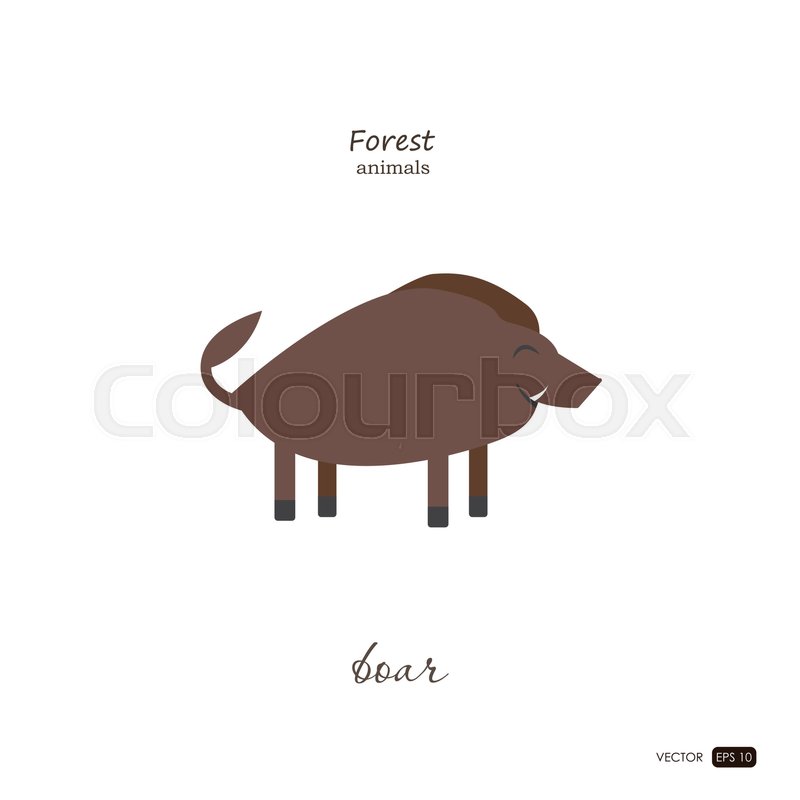 Boar in cartoon style on white ... | Stock vector | Colourbox