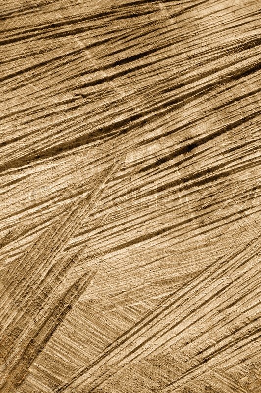 Detail of wooden cut texture - rings ... | Stock image | Colourbox