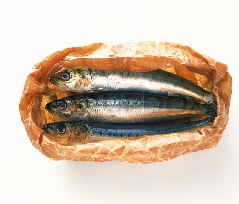 Fresh fish sprats | Stock image | Colourbox