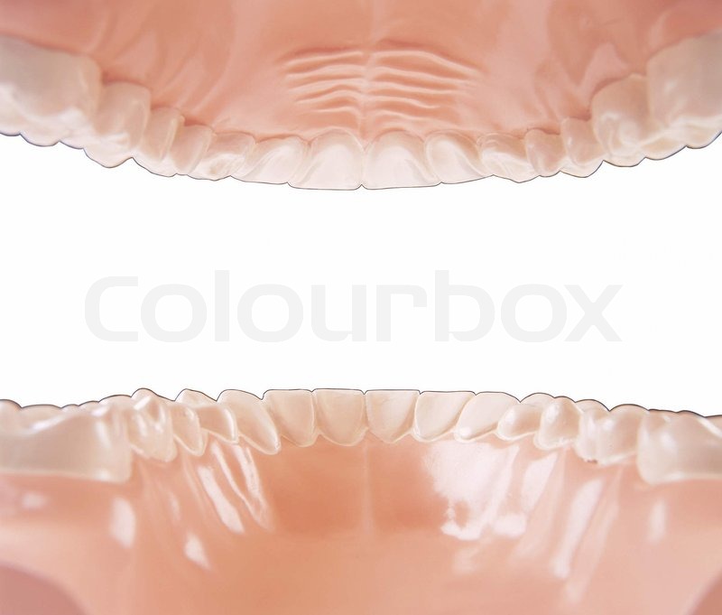 Mouth Anatomie foto innen und auf ... | Stock Bild | Colourbox