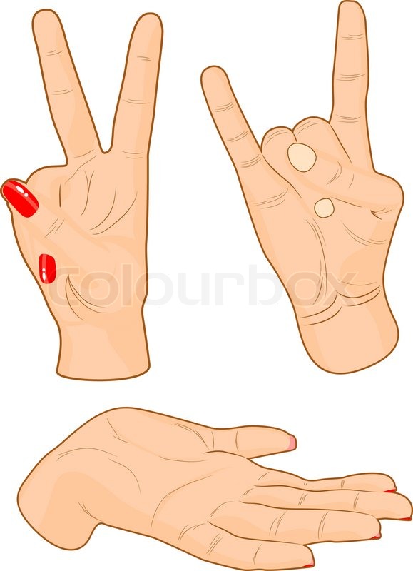 Three hand signs Vector illustration | Stock Vector | Colourbox