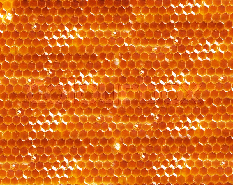 Golden detailed honeycomb texture ... | Stock image | Colourbox