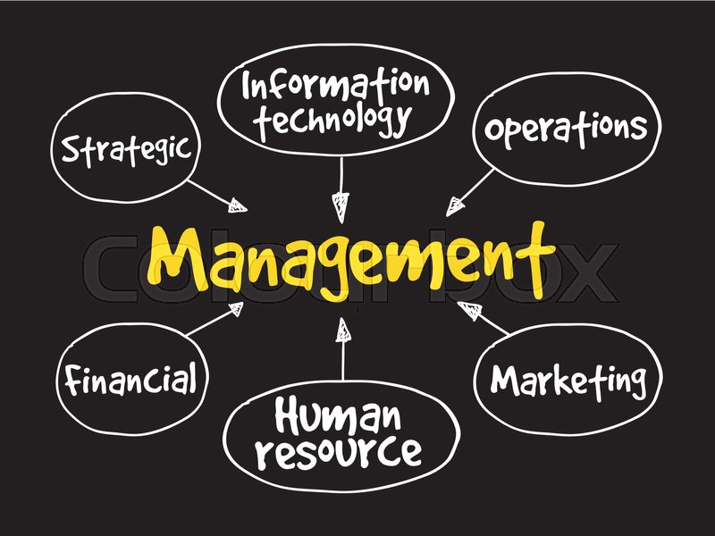 Management mind map business strategy ... | Stock vector | Colourbox