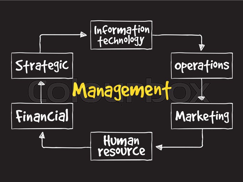 Management mind map business strategy ... | Stock vector | Colourbox