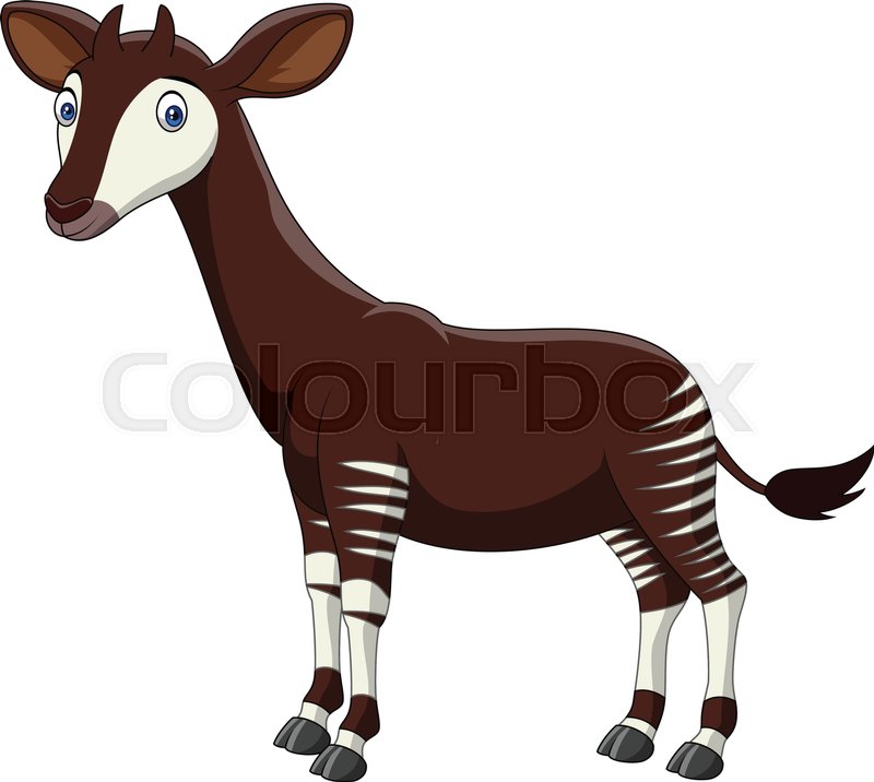 Vector illustration of Cartoon okapi ... | Stock vector | Colourbox