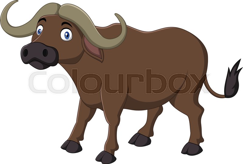 Vector illustration of Cartoon Buffalo ... | Stock vector | Colourbox