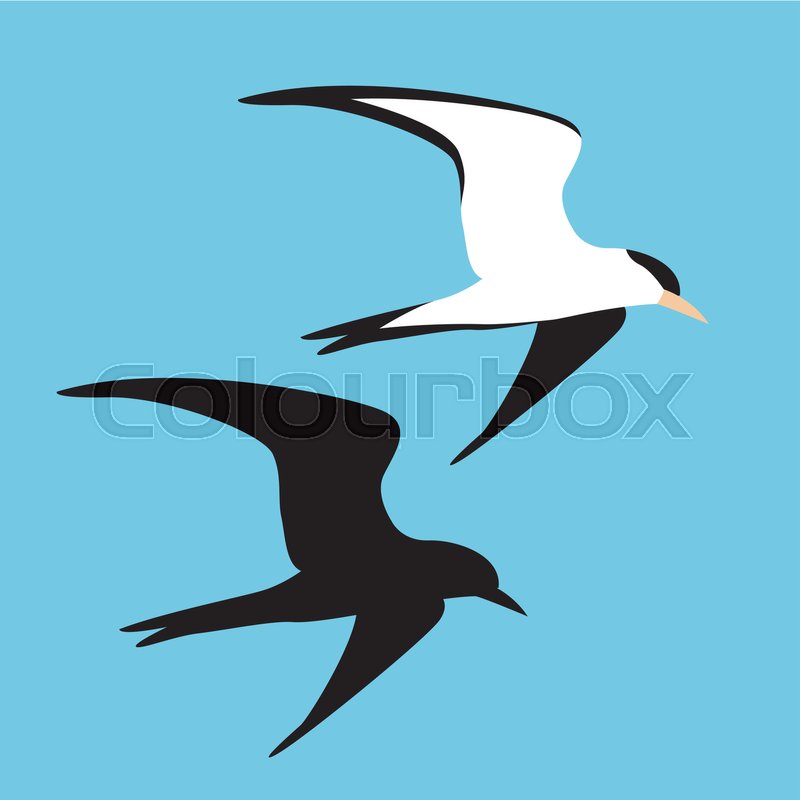 Seagull vector illustration style flat ... | Stock vector | Colourbox