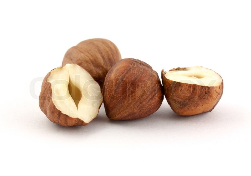 Hazel nut isolated on white background | Stock image | Colourbox
