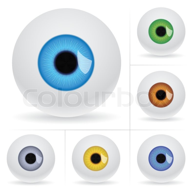 Eye balls Vector illustration on white ... | Stock vector | Colourbox