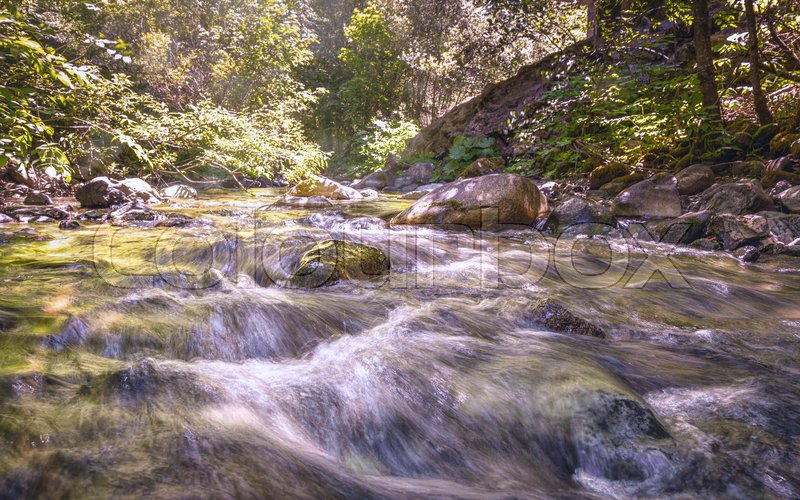 A Small River in Northern California, ... | Stock image | Colourbox