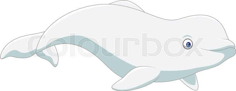Vector illustration of Cartoon beluga ... | Stock vector | Colourbox