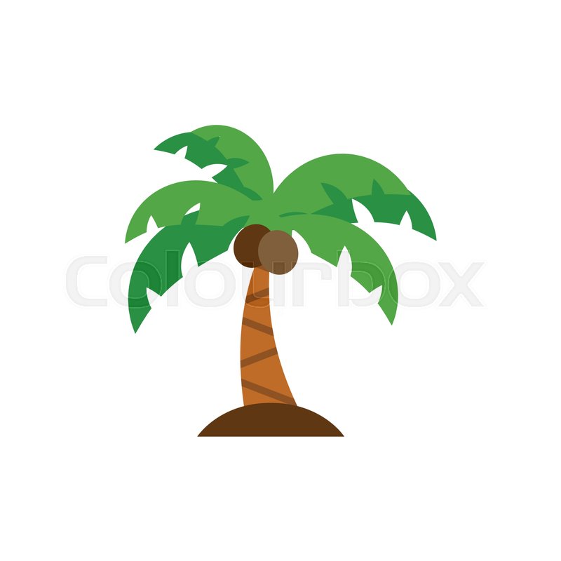 Palm tree icon flat on whit ... | Stock vector | Colourbox