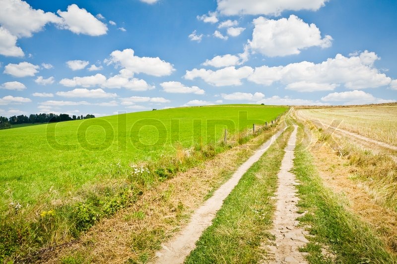 Green farm land with a blue sky | Stock image | Colourbox