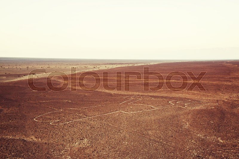 Nazca lines in Peru. | Stock image | Colourbox